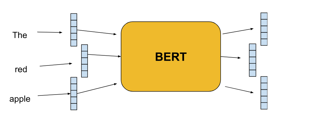 The following describes the process of generating BERT embeddings in ...